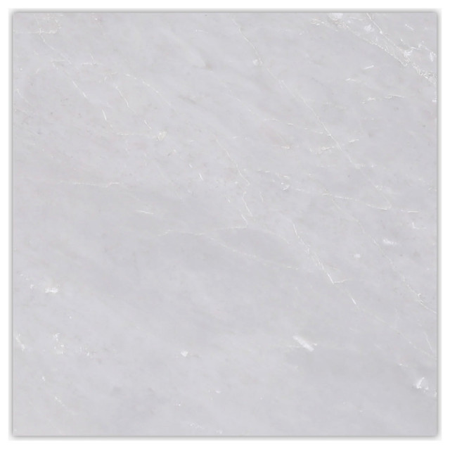 Allure Gray Honed 12x12 Marble Tile, 12x12 - Traditional - Wall And ...