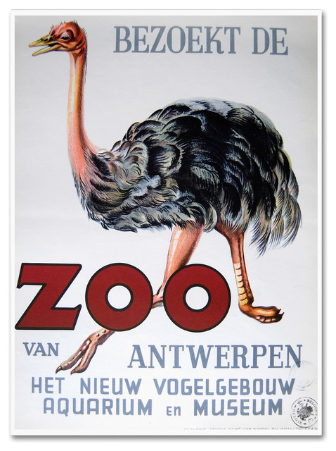 "Antwerp Zoo" by Vintage Apple Collection, Canvas Art, 19"x14 ...