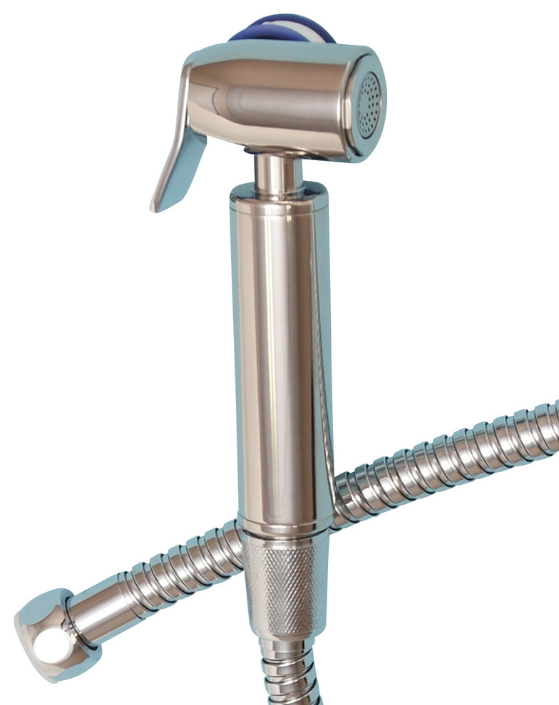 Sanicare Italia Complete Set Hand-Held Bidet Model IT800ST, Stainless ...