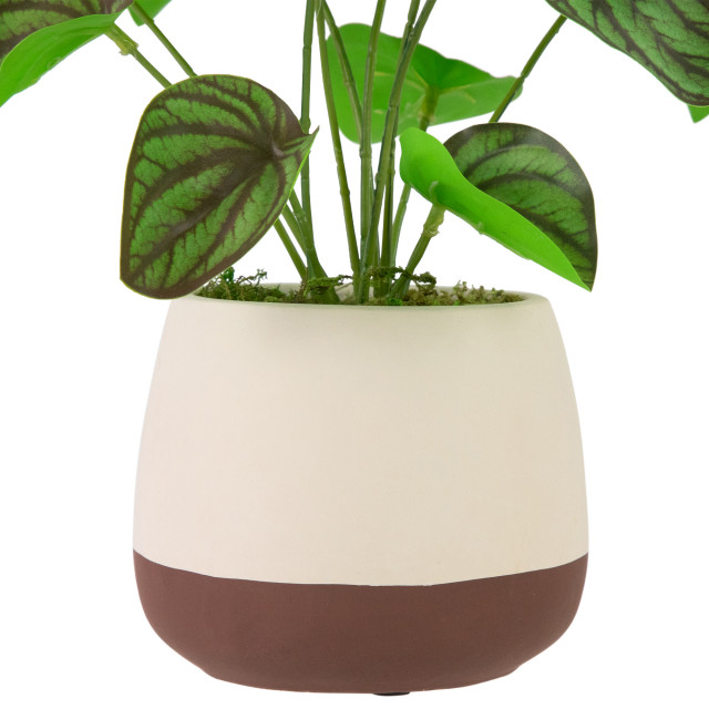 10.25" Artificial Peperomia Plant, Two-Tone Ceramic Pot - Modern ...
