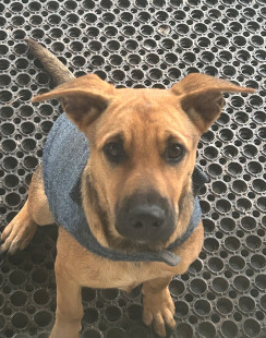 TIM BOCK TWO - Project Photos & Reviews - Brownsville, TX US | Houzz