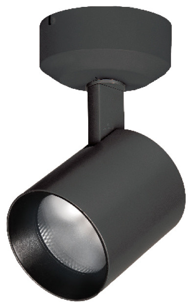 Lucio LED 22W Monopoint 4000K Asymmetric Beam, Black - Transitional ...