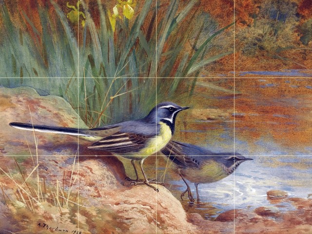 Tile Mural Birds Near the Water Backsplash, 6" Rialto - Traditional ...