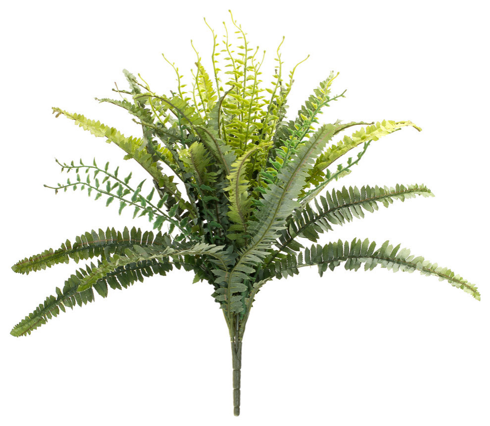 Mixed Fern Bush, 2-Piece Set - Traditional - Artificial Plants And ...