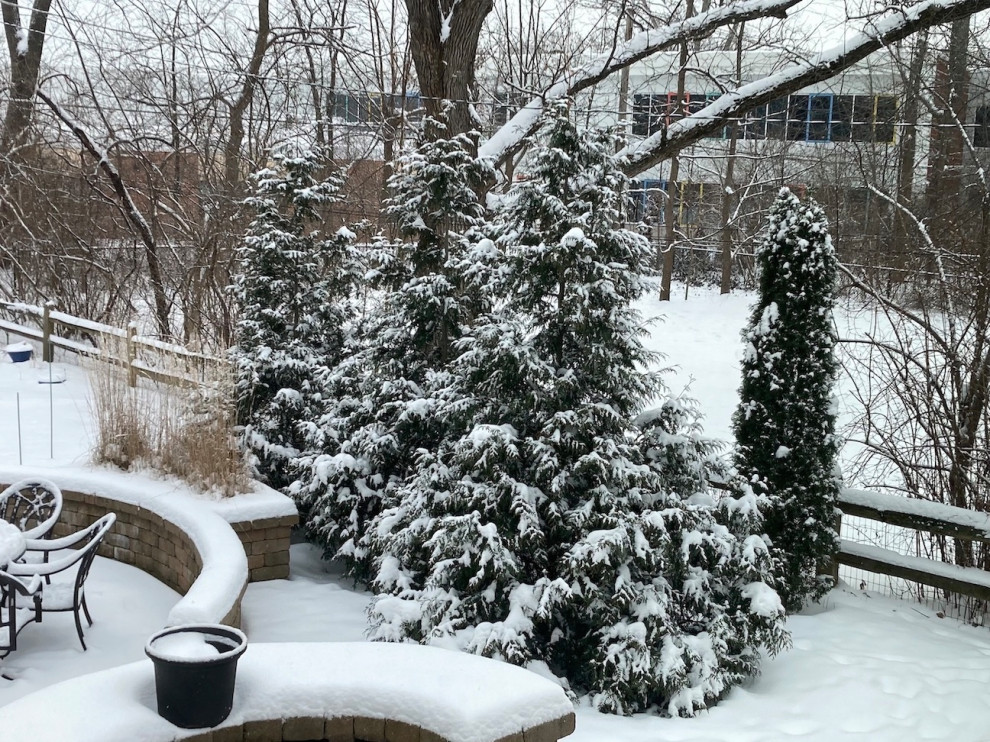 Winter Garden Pictures - Lets See Them | Houzz Forum