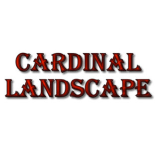 CARDINAL LANDSCAPE - Project Photos & Reviews - Las Vegas, NV US | Houzz