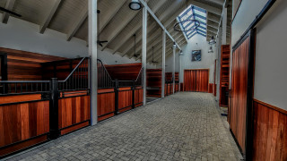 Tri Power Equestrian