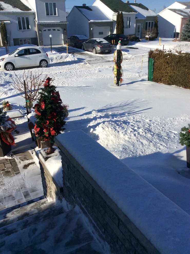 New Year, New Landscape — What to Do in Your January Garden