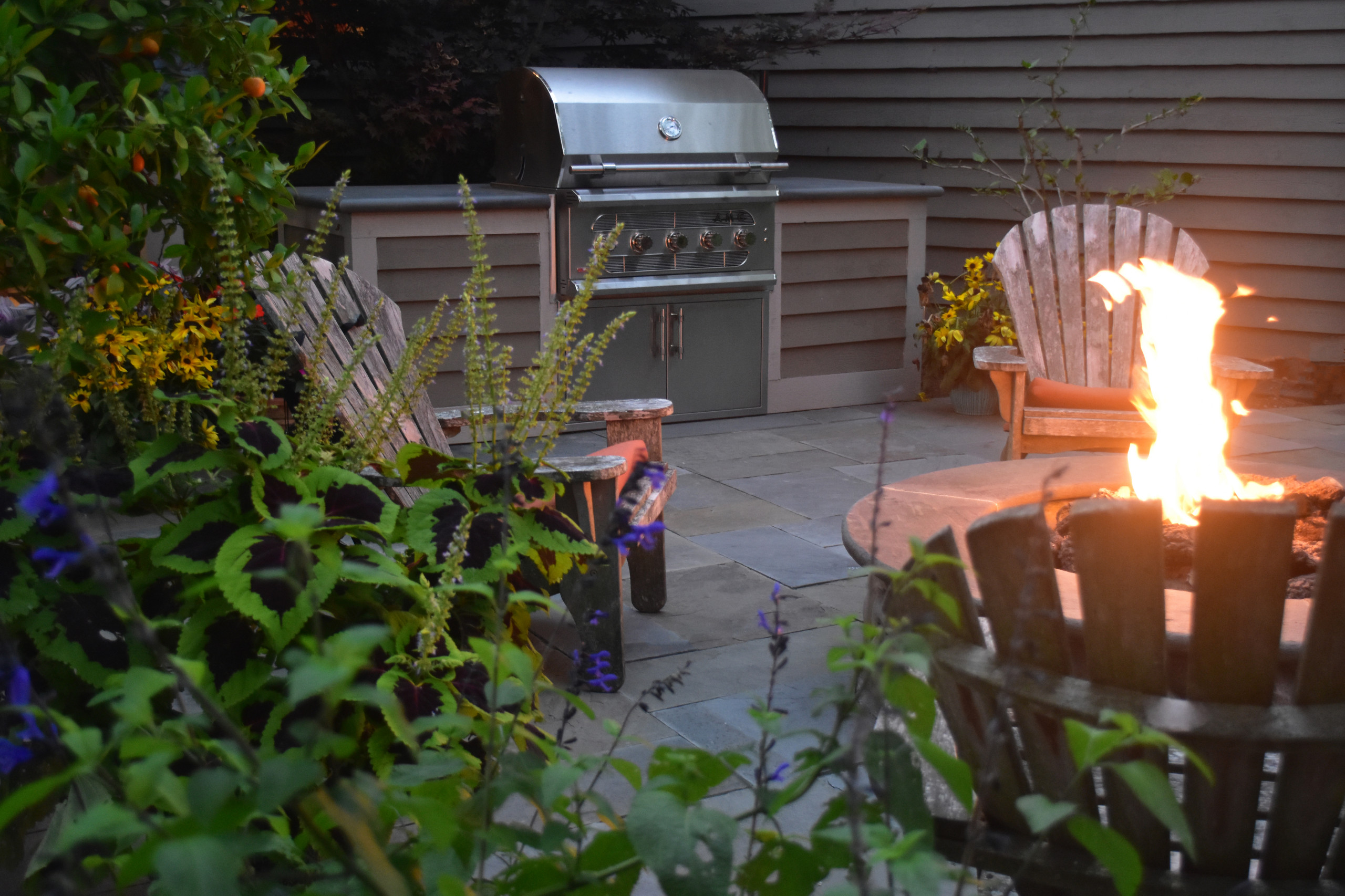 Yard of the Week: Native Prairies Inspire a Designer’s Landscape