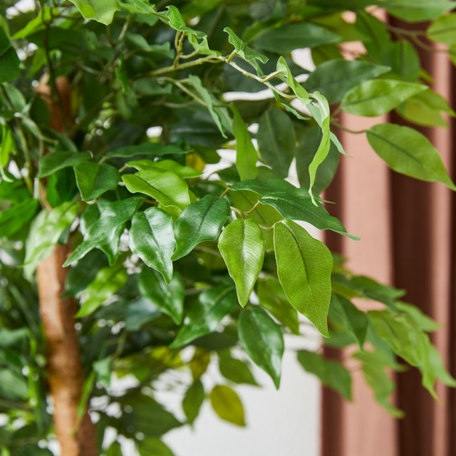 5 Creative Shaped Faux Ficus Tree In Pot Traditional Artificial Plants And Trees By