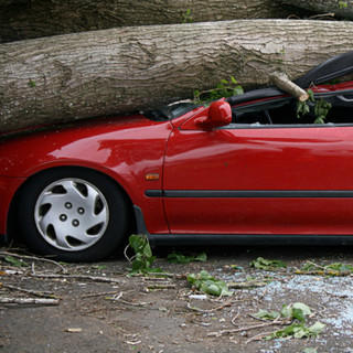 A.VICTOR TREE SERVICE & LANDSCAPING LLC - Project Photos & Reviews ...