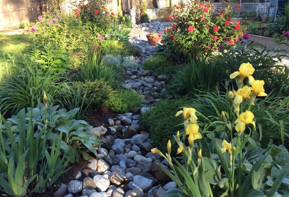 How to Transition Your Spring Garden Borders Into Summer