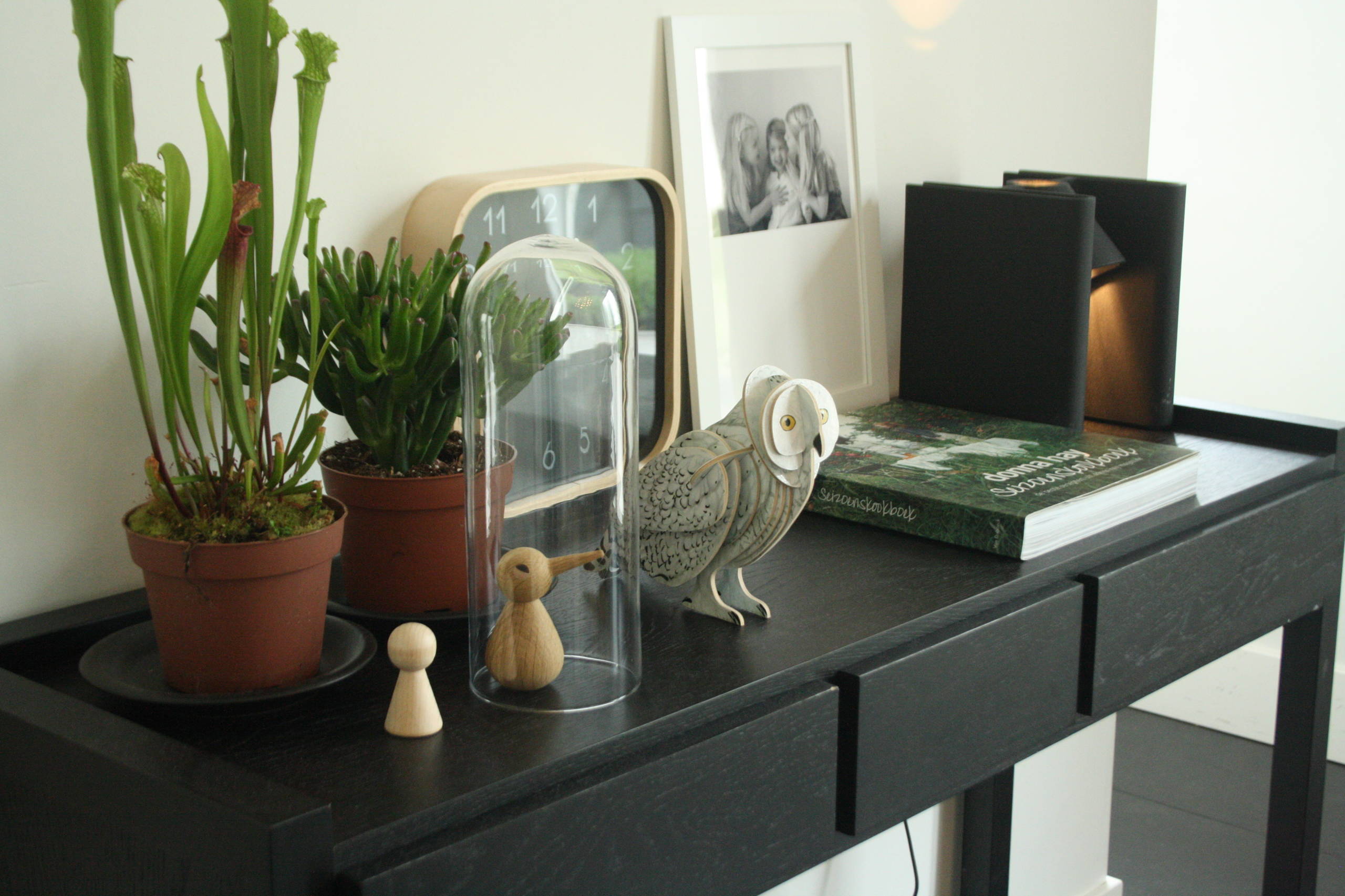 Decorating: Why it’s Time to Invite Some Owls into Your Home | Houzz IE