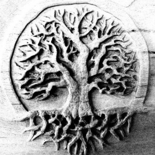 MATTHEW MERKLE | WOODWORKING & DESIGN - Project Photos & Reviews ...