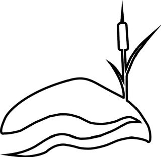 EARTHADELIC - Project Photos & Reviews - Knoxville, TN US | Houzz