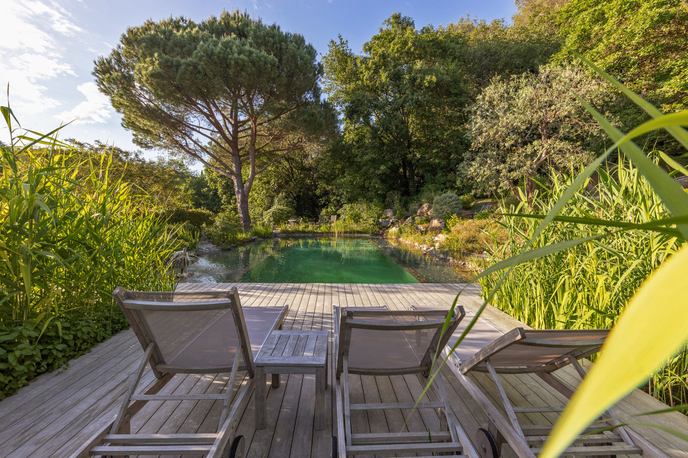 Aménagement paysager pour une chambre d'hôtes à St Paul de Vence ...