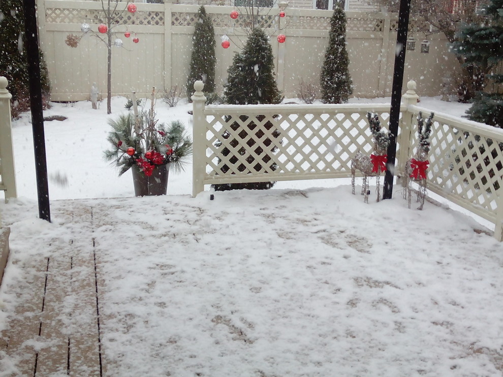 New Year, New Landscape — What to Do in Your January Garden