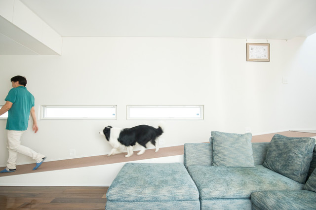愛犬、愛猫が健康に、幸せに暮らせる《スロープの家》 | Houzz (ハウズ)