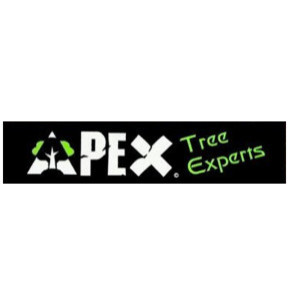 APEX TREE EXPERTS - Project Photos & Reviews - Tacoma, WA US | Houzz