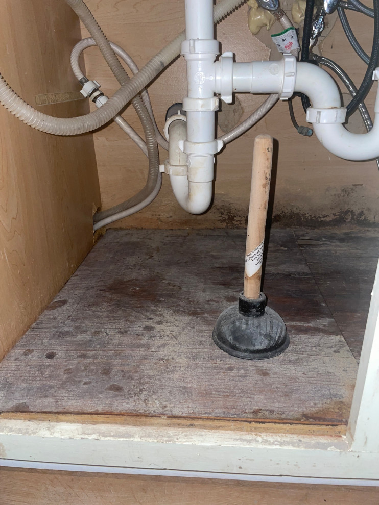 Mold under kitchen cabinet!