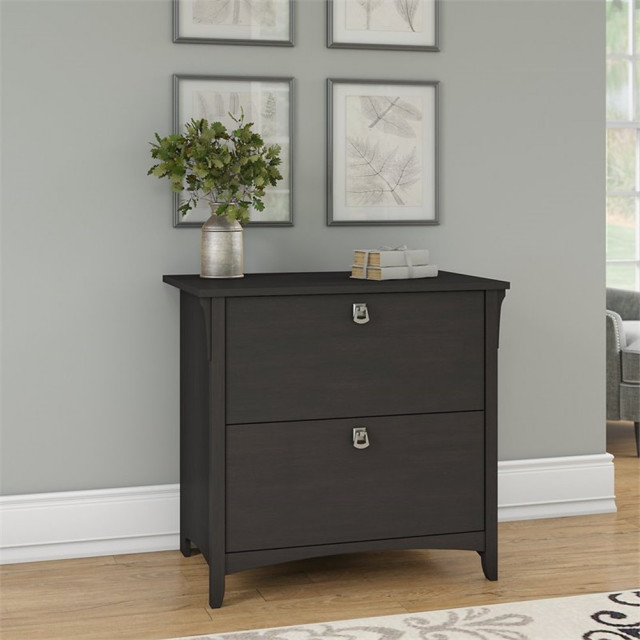 Bush Furniture Salinas 2 Drawer File Cabinet in Vintage Black ...