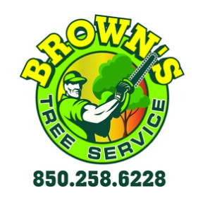 BROWN'S TREE SERVICE AND LAND CLEARING - Project Photos & Reviews ...
