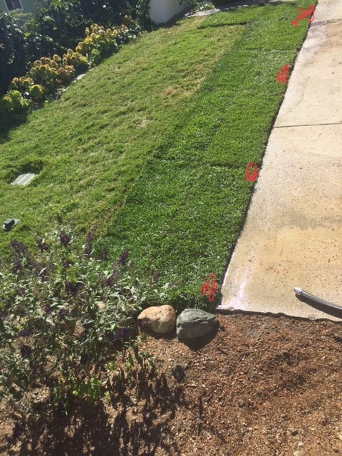Marathon II Lawn care - Coastal Southern California | Houzz Forum