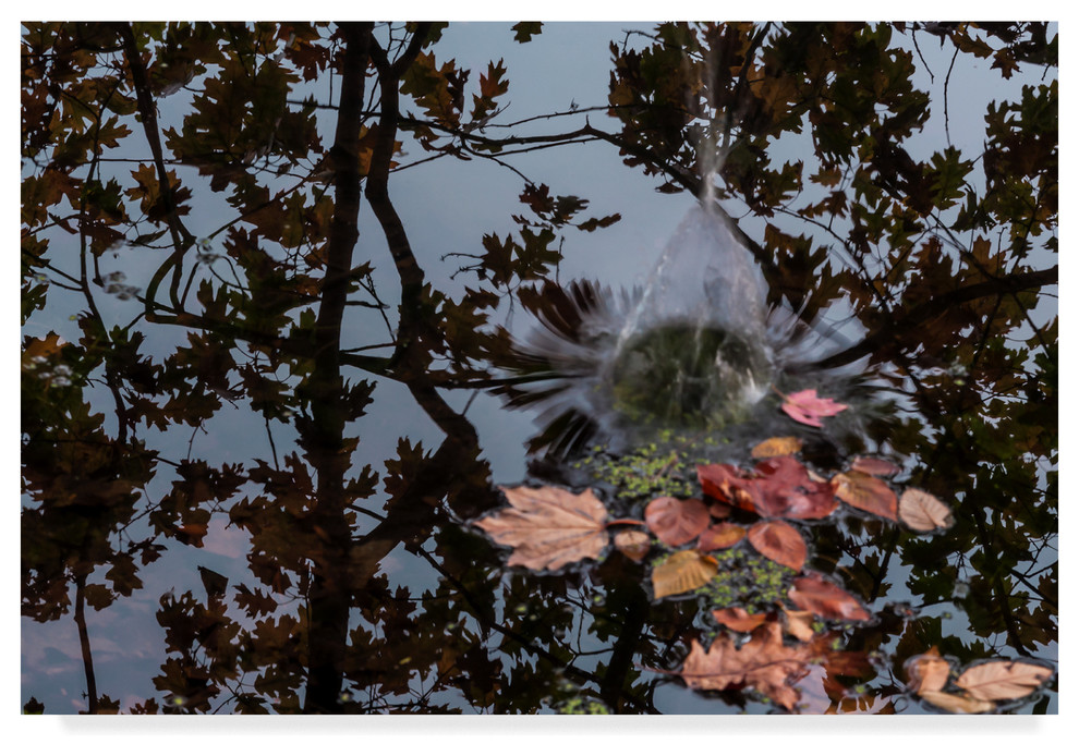 Anthony Paladino 'Acorn Falling Into Pond With Tree Reflections' Canvas ...