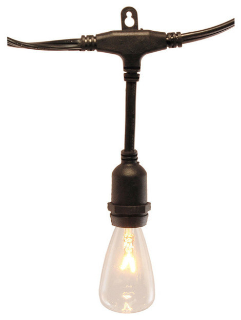 Electric String Lights, Commercial Grade Edison Style, 12-Light ...