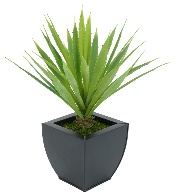Faux Baby Yucca in Tapered Zinc Pot - Contemporary - Artificial Plants ...