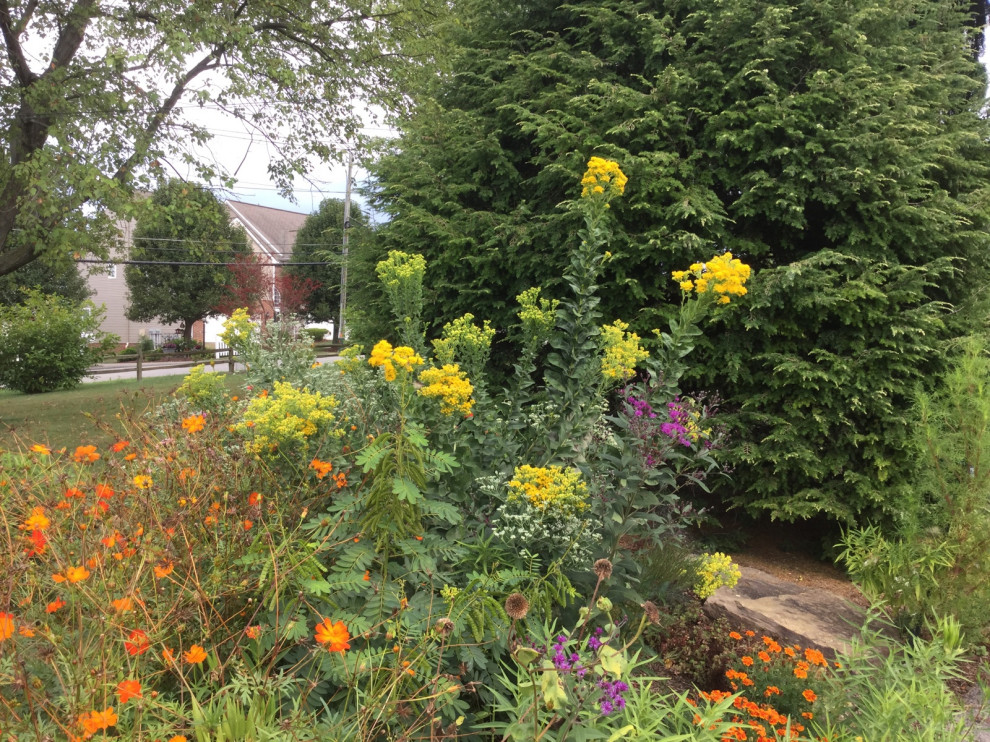 3 Ways Native Plants Make Gardening So Much Better