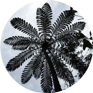 SILVER FERN DESIGNS - Project Photos & Reviews - Nanoose Bay, BC CA | Houzz