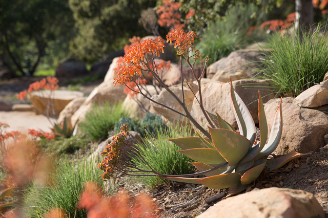 7 Inspiring Western Landscapes With Fall Color for Dry Climates