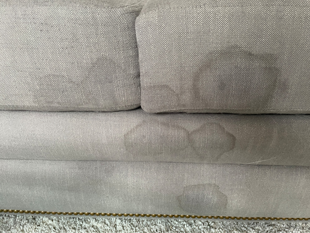 Help! Upholstery cleaning mess (probably grease) | Houzz Forum