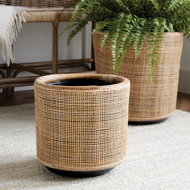Lyla Dry Basket Planters, Set of 2 - Tropical - Indoor Pots And ...