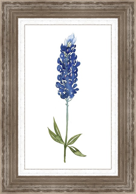 Bluebonnet I Framed Fine Art Canvas Print - Farmhouse - Prints And ...