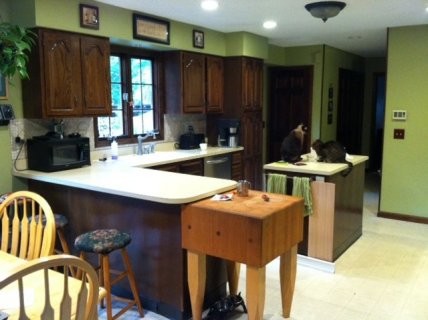 Update to 1984 Kitchen | Houzz Forum