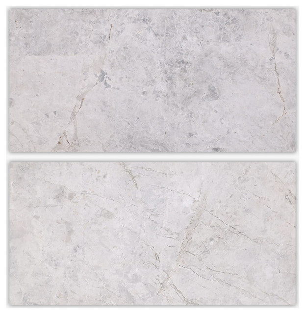 Silver Gray Dark Polished 12x24 Marble Tile, 12x24 - Traditional - Wall ...