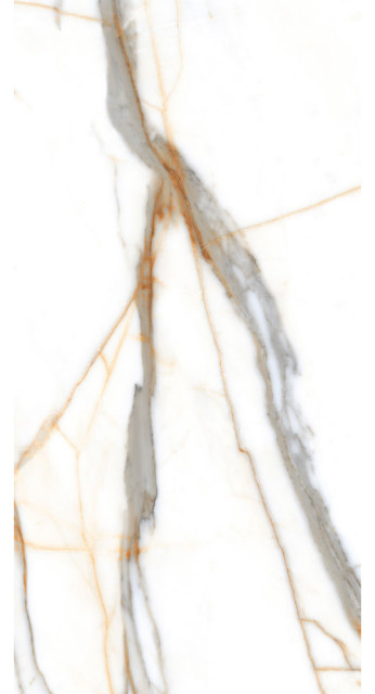 Calacatta Gold Natural Glossy Porcelain Tile, 32x64 - Traditional ...