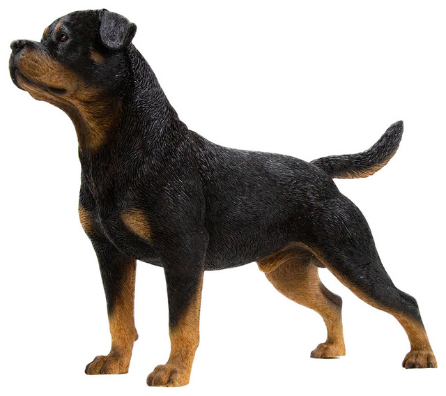 Rottweiler Statue 1:6 - Contemporary - Decorative Objects And Figurines ...