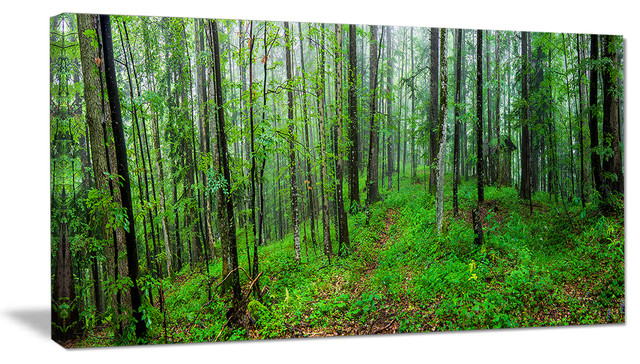 "Green Wild Forest With Dense Trees" Large Forest Wall Art, 40"x20 ...