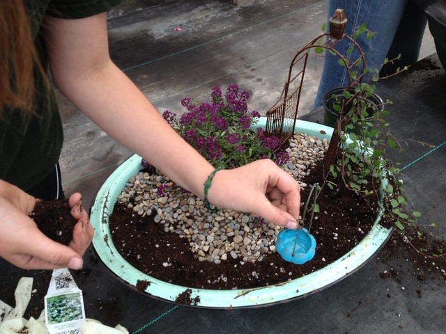 Gardening Fun: Plant a Fairy Garden