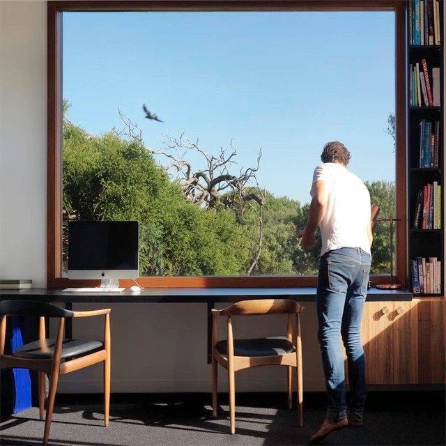 Windows of Opportunity: Your Guide to High-Performance Glazing | Houzz AU