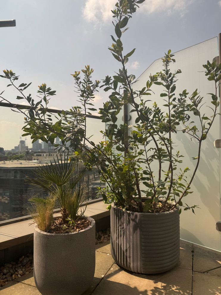 Roof Terrace Balcony Garden Tower Bridge Road - Contemporary - Balcony ...