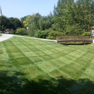 CAMERON LANDSCAPING & BED DESIGN - Project Photos & Reviews ...