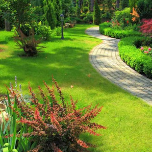 CONCORD TREE & LANDSCAPE - Project Photos & Reviews - Concord, MA US ...