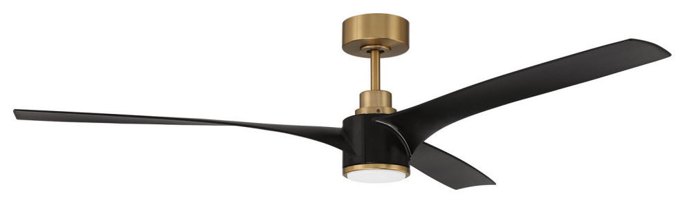 Phoebe 60" Ceiling Fan - Transitional - Ceiling Fans - by LAMPS EXPO ...