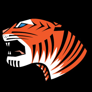 TIGER C CONSTRUCTION, LLC - Project Photos & Reviews - Chester, VA US ...