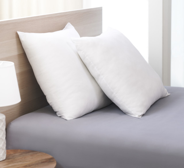 Modern Loft Soft Touch Euro Pillow, 2-Pack - Bed Pillows - by Allied ...