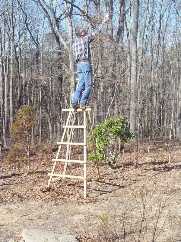 Japanese tripod ladder | Houzz Forum